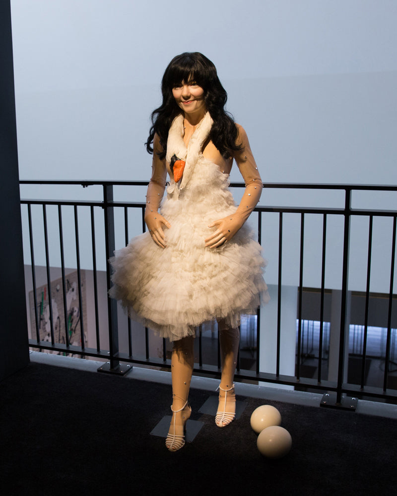 MoMA's Björk Retrospective Takes as Many Risks as the Artist Has Herse ...